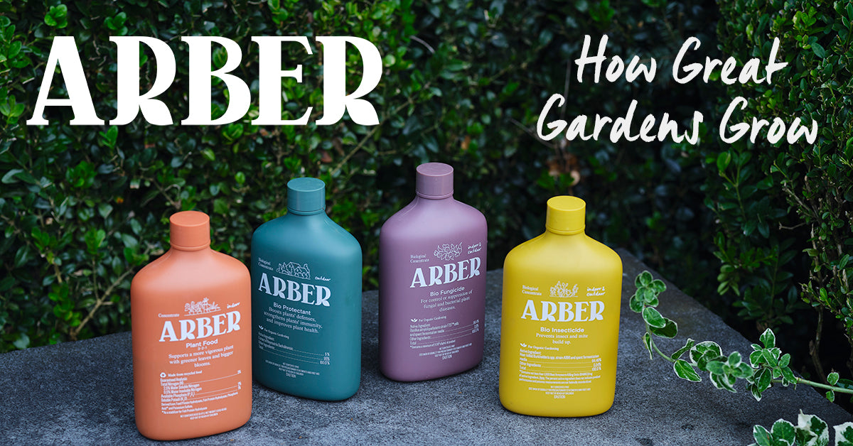 All Products – Arber